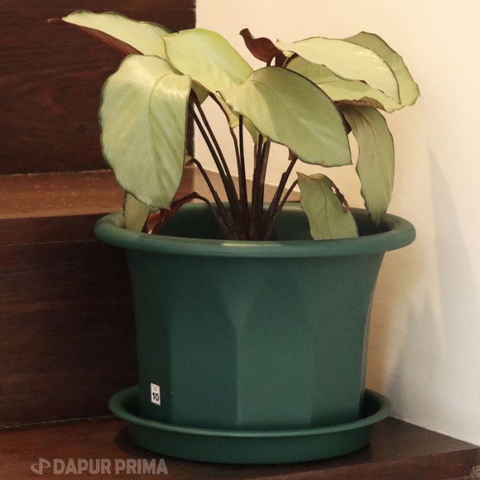 POT BUNGA LANTAI ROSE + TATAKAN BESAR — Dapur Prima